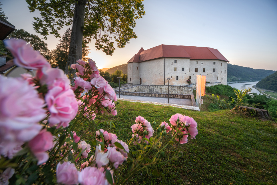 Srednjeveško mesto, vpeto med zelene gozdove in vinograde, polno energije
